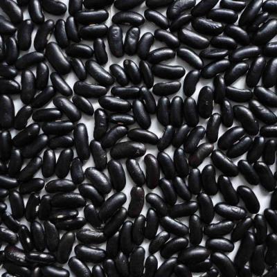 China Wholesale Chinese food Black Kidney Beans with Green/ Yellow/ White Kernels Market Price for sale