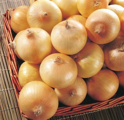 China Chinese food fresh red big onion for sale