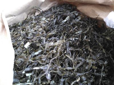 China Chinese seafood of dried kelp,dry kelp seaweed for good quality for sale