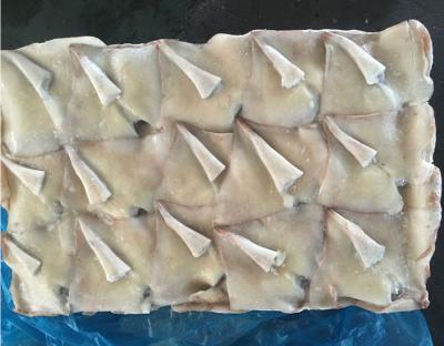 China Seafood cheap price frozen squid wing for seafood buyers for sale