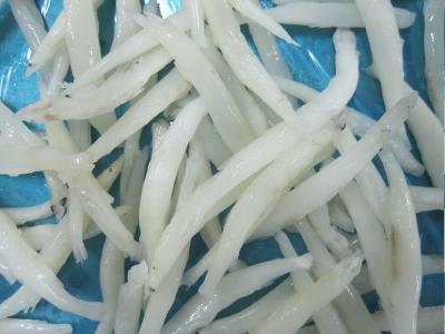China seafood and frozen  turbot fish(silver fish) for good quality for sale