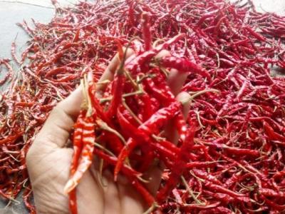 China china food wholesale A grade Dried Red Chilli/ Red Pepper at affordable prices for sale