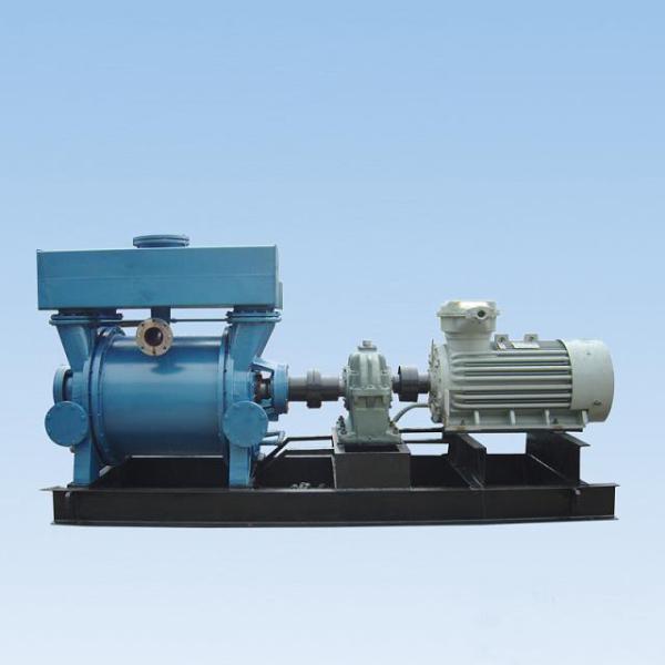 Quality Energy Saving Water Ring Vacuum Pump with Cast Iron or Stainless Steel Construction and 11~800KW Power Specs for Industrial Applications for sale