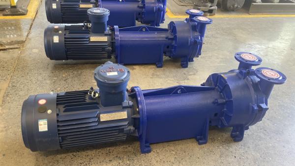 Quality Durable High-Efficiency Energy-Saving Water Ring Vacuum Pump for Vacuum for sale