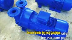 2BV series vacuum pumps