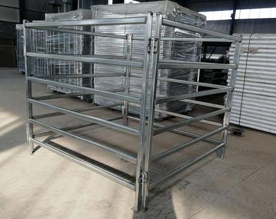 China Cattle Panel for sale