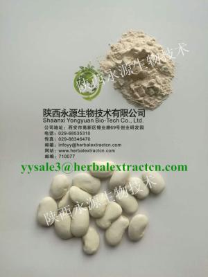 China White Kidney Bean Extract, Extrato de Feijão Branco，3000 Unit/g, 1%Phaseolamin，manufacturer for sale