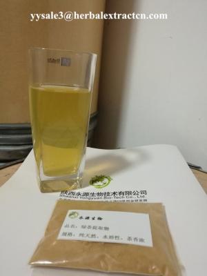 China Water soluble Green tea P.E Total Tea Polyphenols 40% 50%, natural antioxidant and weight lose, Yongyuan Bio-Tech for sale