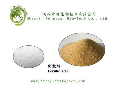 China Chinese manufacturer supply Ferulic acid 98%, pure ingredient, CAS No.: 1135-24-6 for sale