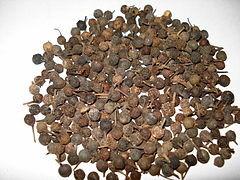 China Java Pepper Extract, Java Pepper Powder, Piper cubeba powder, Chinese manufacturer, High quality for sale