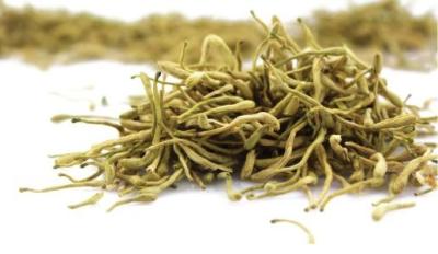 China Lonicera Japonica Extract, HoneySuchle Extract, Chlorogenic acid 3%-98%, CAS No: 327-97-9,Shaanxi Yongyuan Bio, exporter for sale