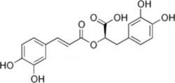 China Rosemary Extract,  Rosmarinic Acid 5%-30% HPLC , CAS No.: 20283-92-5, Shaanxi Yongyuan Bio-Tech, exporter for sale
