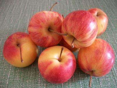 China Phlorizin 90%, CAS No.: 60-81-1, Phloretin 90%-98%, functional food additives, high quality, Shaanxi Yongyuan Bio-Tech for sale