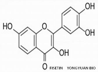 China Fisetin 98% HPLC yellow powder,CAS No.: 528-48-3, Pharmaceutical ingre, Manufacturer,  Shaanxi Yongyuan Bio-Tech for sale