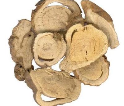China Oxymatrine 98% HPLC White powder, CAS No.: 16837-52-8, Sophora flavescens Extract, Shaanxi Yongyuan Bio-Tech for sale