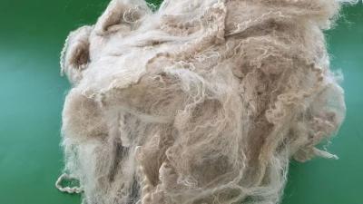 China Soft Microfiber Polyester Staple Fiber Recycled 1.2D*32mm for Filling for sale