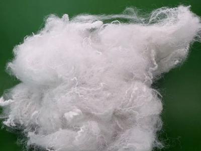 China Recycled Solid Raw White 7D*64mm Polyester Staple Fiber for Filling Cotton for sale