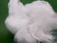 China Rigid Support 15D*64mm Raw White Solid Polyester Staple Fiber for Mattress Inside for sale