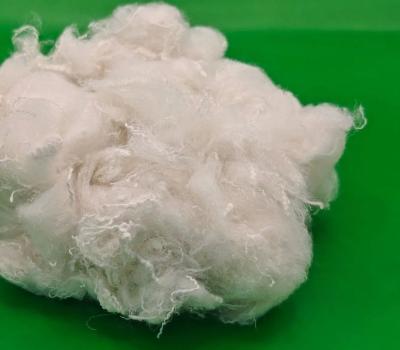 China 1.5D×32mm Polyester Staple Fiber for Textile Spinning & Versatile Filling Applications for sale