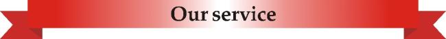Our service.jpg