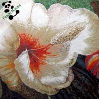 Quality Glass Wall Murals Restaurant Wall Tile Mosaic Designs for sale