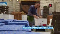 Mosaic Production Line