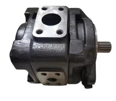 China Gear oil pump - Gear Oil Pump HG22-160-80-01R-VPC HG22-160-100-01R-VPC HG22-160-125-01R-VPC HG22-160-160-01R-VPC HG22-80-8-01R-VSC factory for sale
