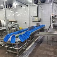 China Chicken Weight Grading Machine for sale