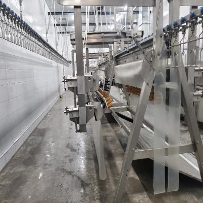 China Stainless Steel Slaughter Processing Line 500bph 10000bph Chicken Abattoir Equipment for sale