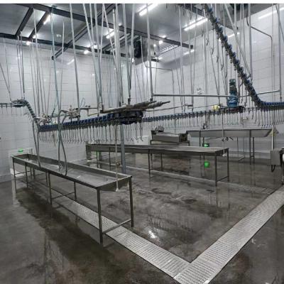 China Vlekkeloos staal 304 kippenslachtlijn Opties voor installatie ter plaatse of online Te koop