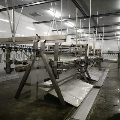 China Op maat gemaakt systemen voor het slachten van vee met een hoge capaciteit van 500 tot 1000 vogels per uur Te koop