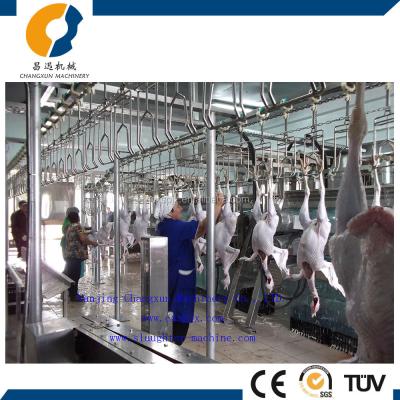 Cina 1500BPH attrezzature per la trasformazione del pollame 380V / 220V attrezzature per l'impianto di confezionamento del pollame in vendita