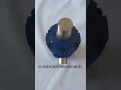 Customized Rear Hydraulic Jack Legs with Hard Chrome Plated Piston Rod for Waste Trolley Lifting Cylinder