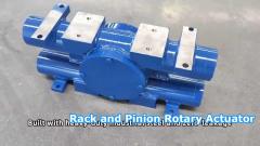 Rack and Pinion Rotary Actuator Hydraulic Swivel Actuator Rack and Pinion Cylinder