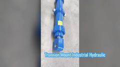 Heavy Duty Trunnion Mount Hydraulic Cylinder CDH1 MT4 80mm Bore for Steel Mill