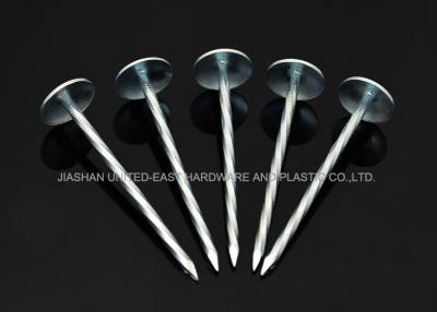 China Twisted Shank 3” X BWG 8 Electro Galvanized Roofing Nails For Construction for sale