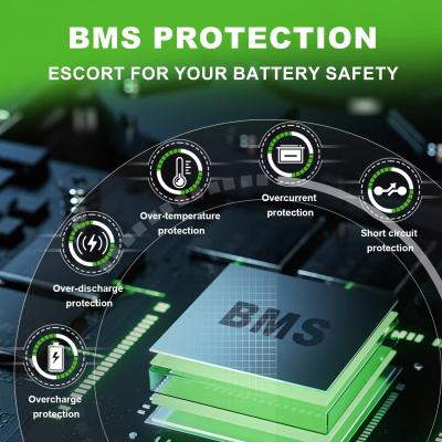 China Deep Cycle Lifepo Caravan Lithium Battery Pack 12.8V 25.6V For RV for sale