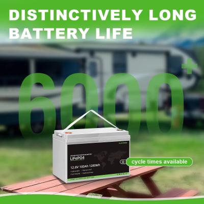 China Deep Cycle Lifepo Caravan Lithium Battery Pack 12.8V 25.6V For RV for sale