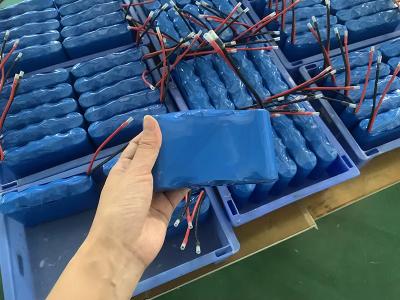 중국 리온 사용자 지정 리?? 배터리 팩 11.1V 24v 2600mAh 3000mAh 판매용