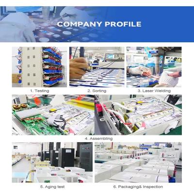 Китай OEM Li Ion RV Battery Trolley Lifepo4 Pack 25,6V Campervan Литийный аккумулятор продается