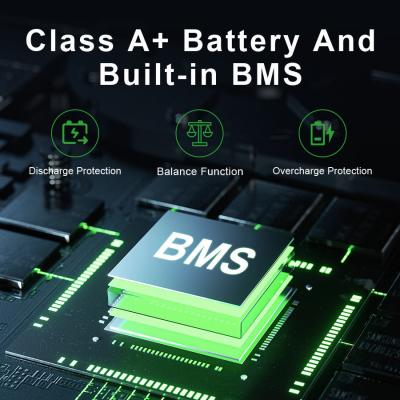Cina Pulizzatore di pavimenti per carrelli da golf a 24 V con batterie al litio Lifepo4 personalizzabili per AGV e RV in vendita