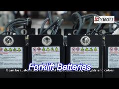 bms lfp fork truck battery forklift battery 48 v 24v 25.6v 20ah~300ah