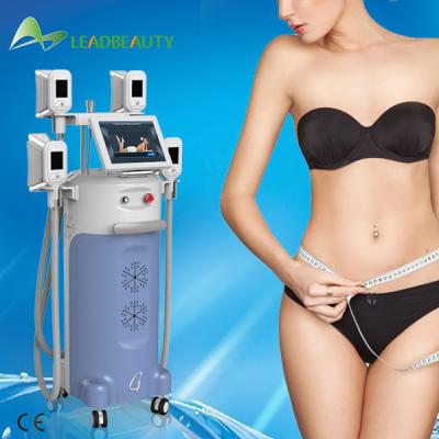 China Fat freezing body shaping cryolipolysis slimming machine for clinic use for sale