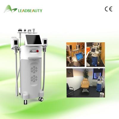 China Whole body slimming Fat Freezing Cryolipolysis slimming beauty machine for sale