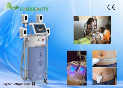 China Factory price cryolipolysis body shaping system with fashionable appearance and obvious effect for sale