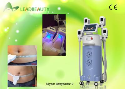 China Factory price cryolipolysis freeze sculptor machine solve any fat issues hot in Europe for sale