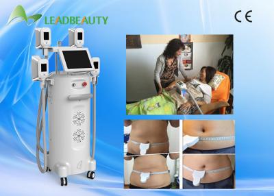 China Professional slimming cryolipolysis slmming machine for sale/fat freezing slimming for sale