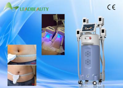 China High quality cryolipolysis fat freeze slimming machine / criolipolisis liposuction machine for sale for sale