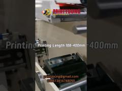 Multicolor Merkteken Ribbon Label Flexodrukmachine Press PRY2+1