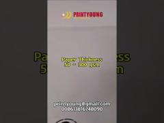PRY-1000-6 단위형 종이컵 6색 플렉소 인쇄기
